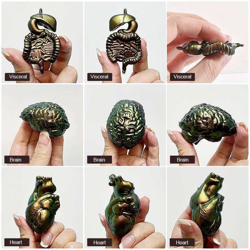 3D Silicone Molds for Simulated Human Organs – Resin Art NZ