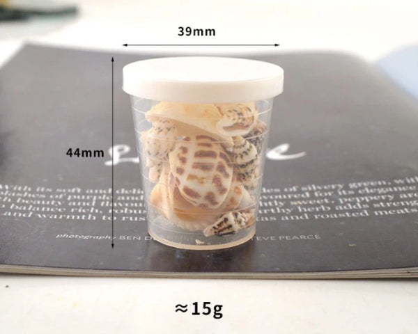 Conch Shells – Resin Art NZ